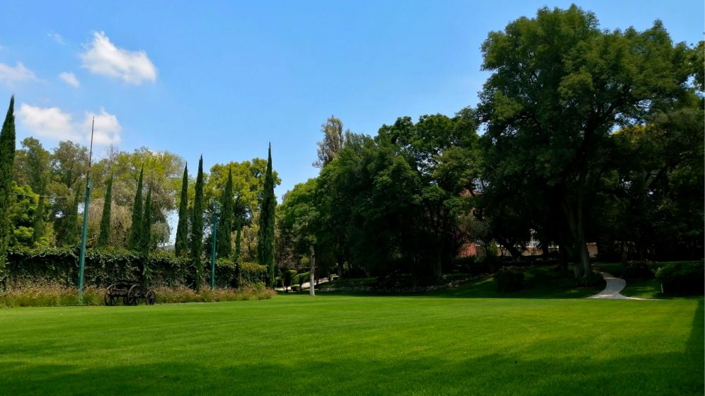 Reservas | Hotel Real del Bosque