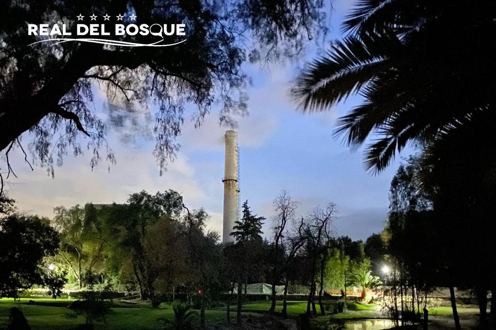 Historia de hotel real del bosque | Hotel Real del Bosque
