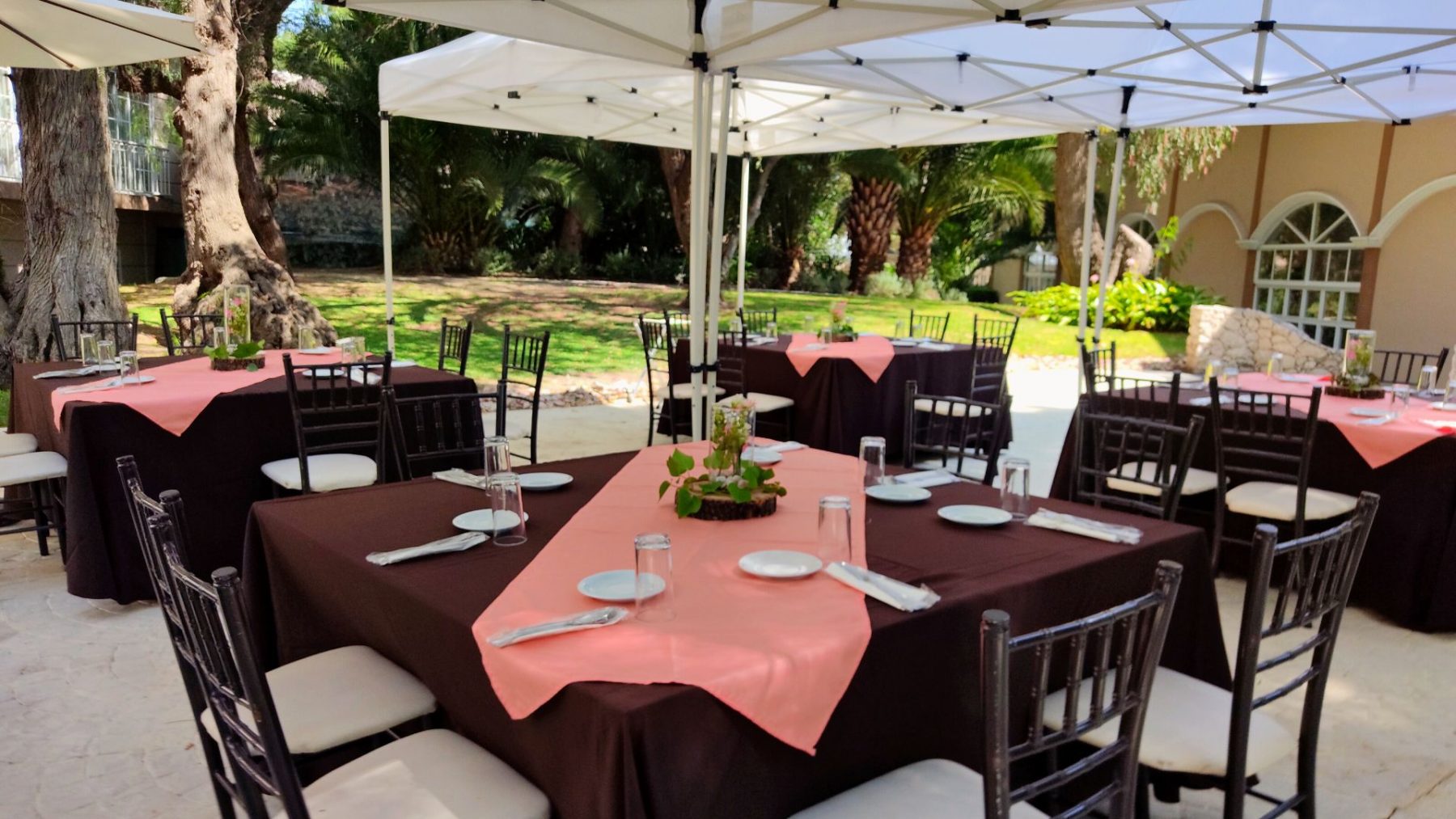 Terrazas | Hotel Real del Bosque