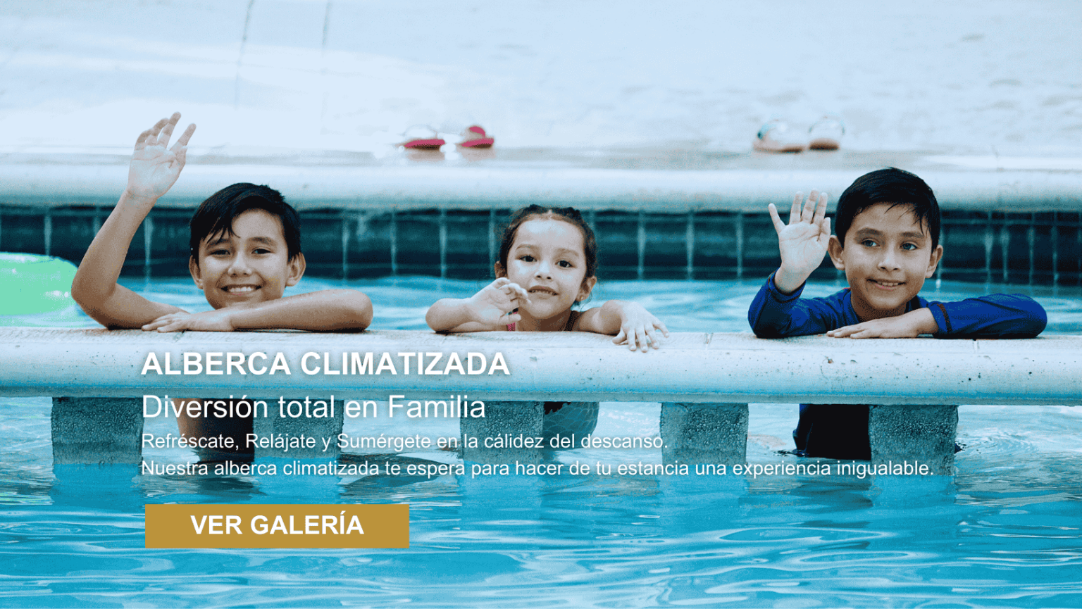 Real del Bosque | Hotel Real del Bosque