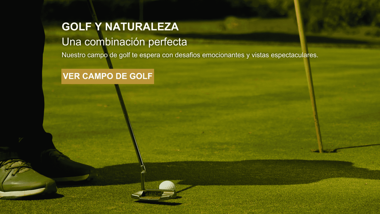 Real del Bosque | Hotel Real del Bosque